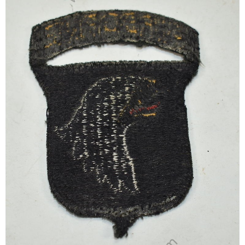 101st Airborne Division blackback patch